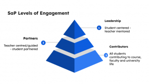 Levels Framework – Students as Partners SaP@HKU